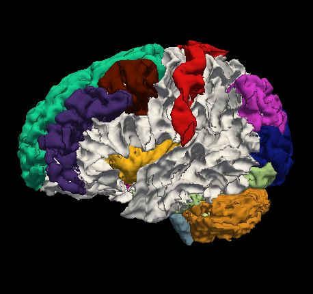 Camilo Laiton Portfolio